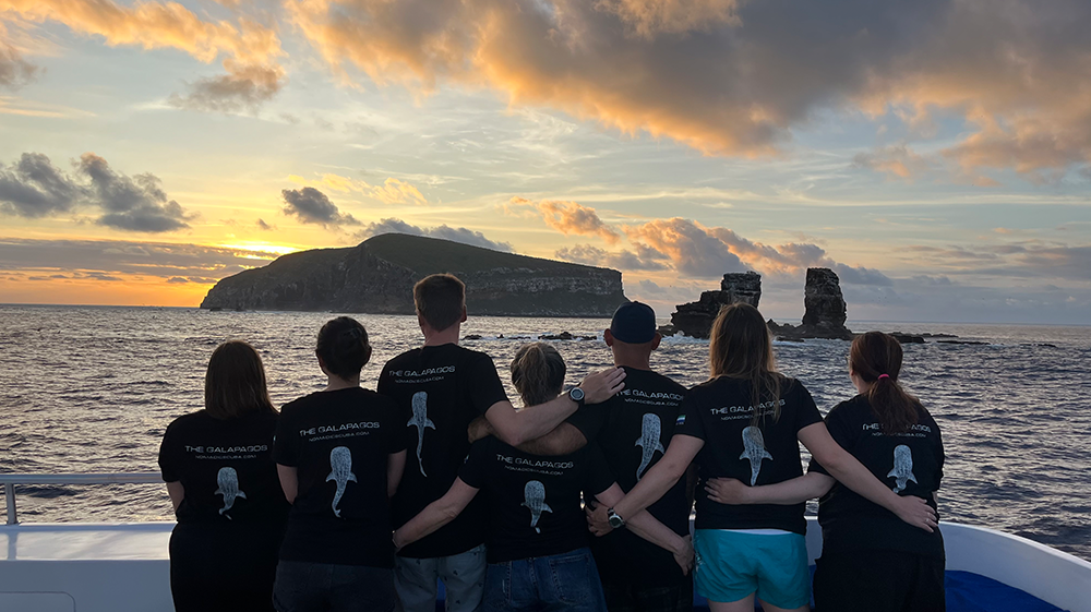 Collections – Nomadic Scuba